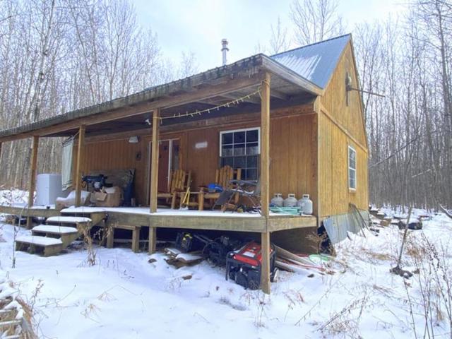 Online Auction Off Grid Cabin on 78 Acres in Ontonagon, MI
