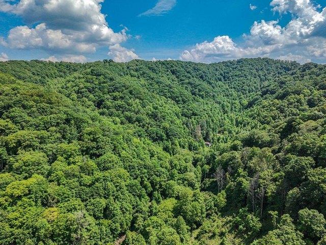 Osborne Branch Rd, Grundy, VA 24614