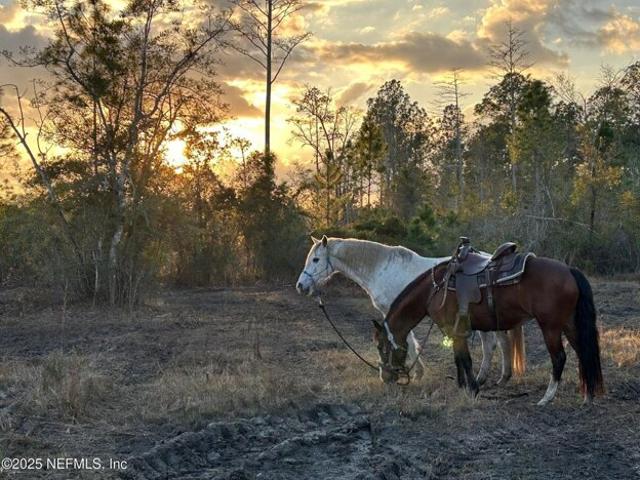 Oscar Ashton Rd Lot D, Saint Augustine, Plot For Sale
