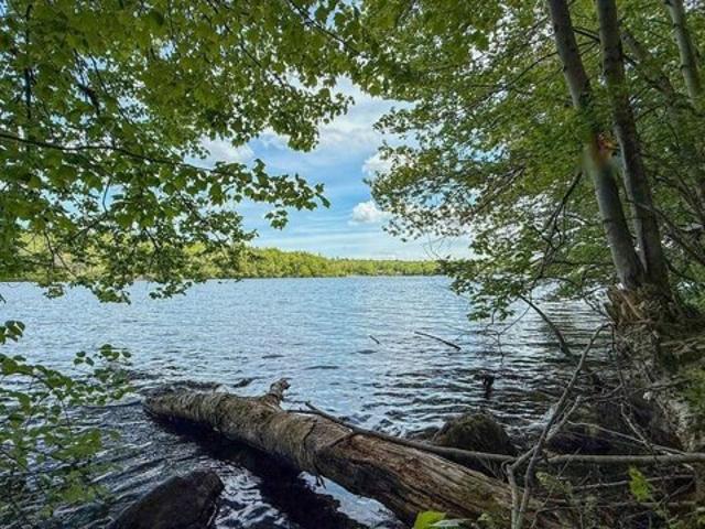 Osceola Rd, Becket, Home For Sale