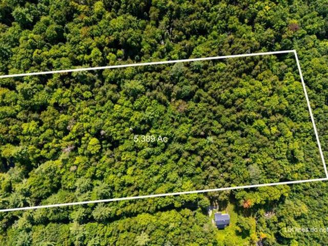 Osgood Farm Rd, Littleton, NH 03561