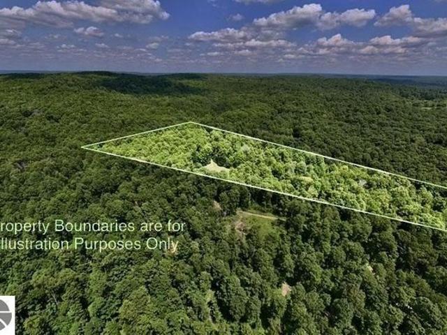 Oslund Rd Parcel 4, Bellaire, MI 49659