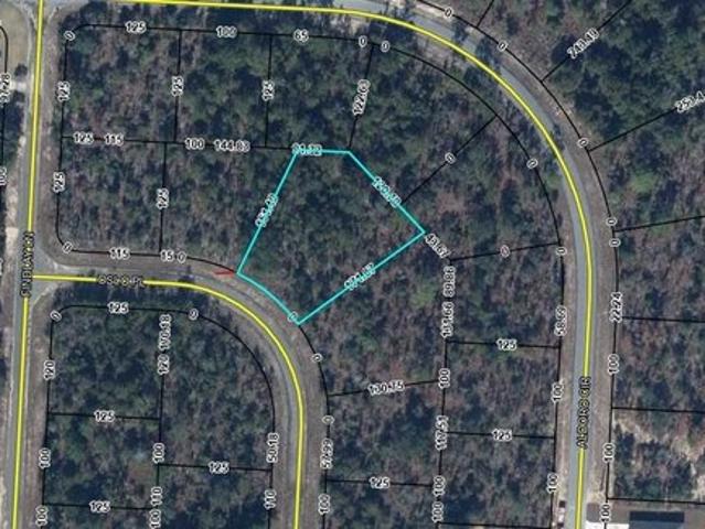 Oslo Pl, Chipley, FL 32428