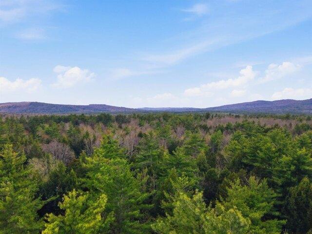 Ossipee NH 03814 102216258
