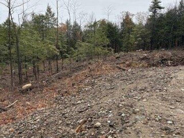 Ossipee NH 03814 103850492