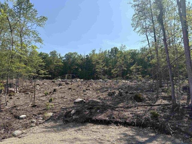 Ossipee NH 03814 104690345