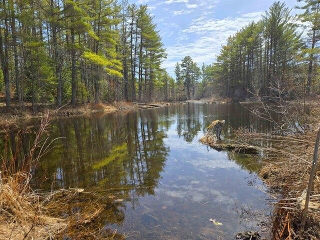 Ossipee NH 03864 102064116