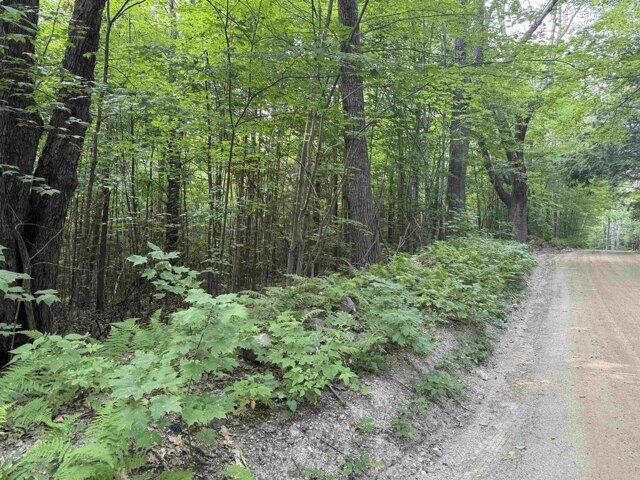 Ossipee NH 03864 103036637