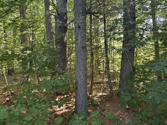 Ossipee Trl W, Standish, Plot For Sale