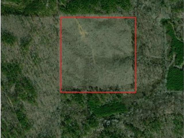 Oswalt Rd, Sturgis, MS 39769