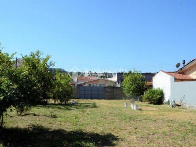 Oportunidade: 3 terrenos à venda com casa ampla construída Total de 990 m²