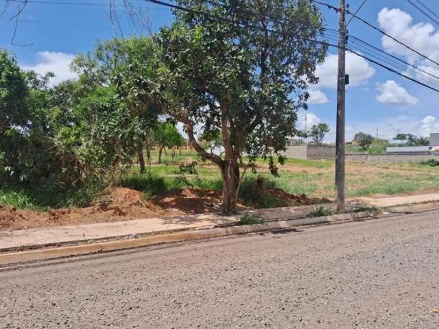 Oportunidade