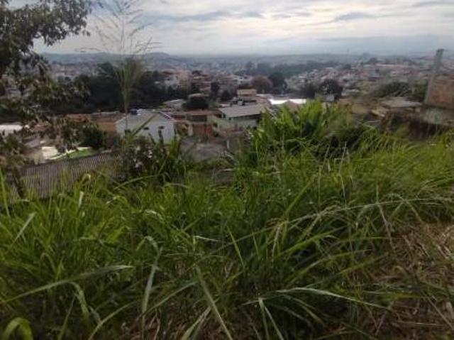 OPORTUNIDADE