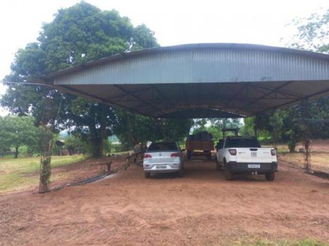 Oportunidade 50% Desconto Sítio Água Limpa 4,31 Hectares Cultivo Limão Monte Alto
