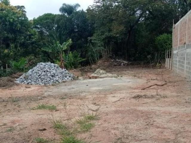 OPORTUNIDADE