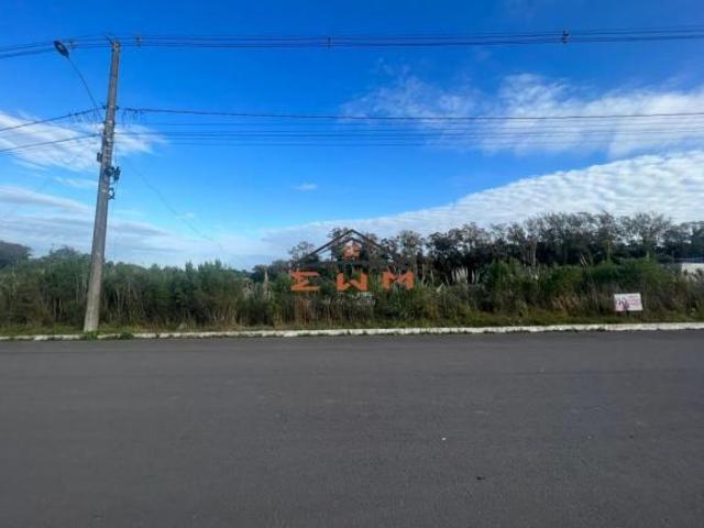Oportunidade