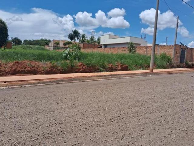 Oportunidade