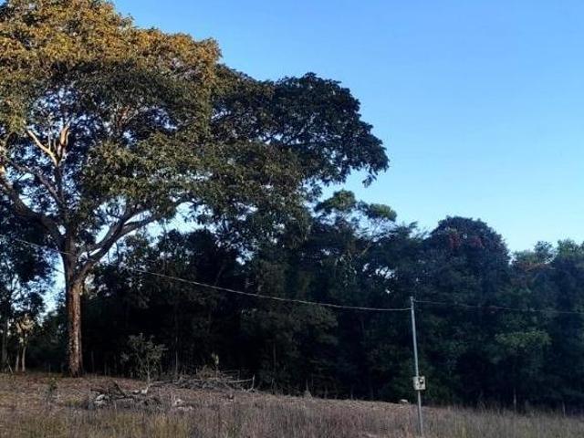 OPORTUNIDADE! CHÁCARA 6000 M² EM DESTERRO DE ENTRE RIOS/MG