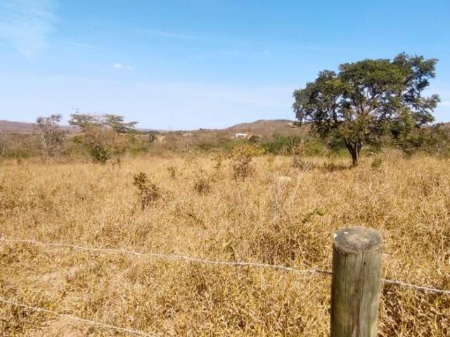 Oportunidade! Chácara plana em condomínio no Altiplano Leste com 2 hectares