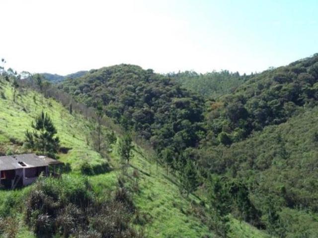 Oportunidade a Venda na Cidade de Juquitiba