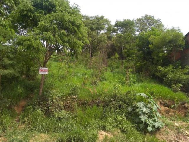 OPORTUNIDADE ÁREA 5.000MTS A VENDA MATO DENTRO PRÓXIMO UBS PENHA FCO DA ROCHA SP
