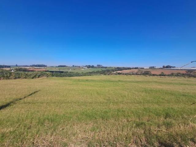 ? OPORTUNIDADE! ÁREA RURAL À VENDA EM HOLAMBRA/SP ? Invista em uma excelente área rural na Cidade d