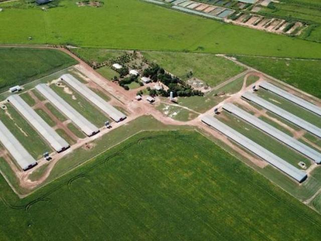 Oportunidade Aviário com oito galpões, integrado na BRF