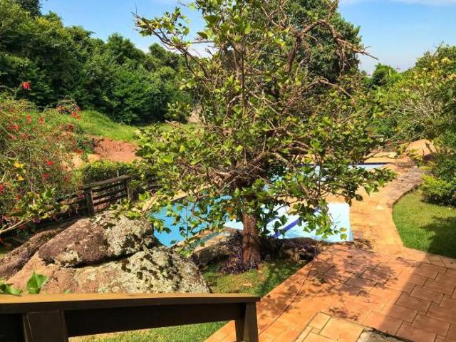Oportunidade de investimento em condomínio fechado no interior: piscina integrada à natureza, jardim