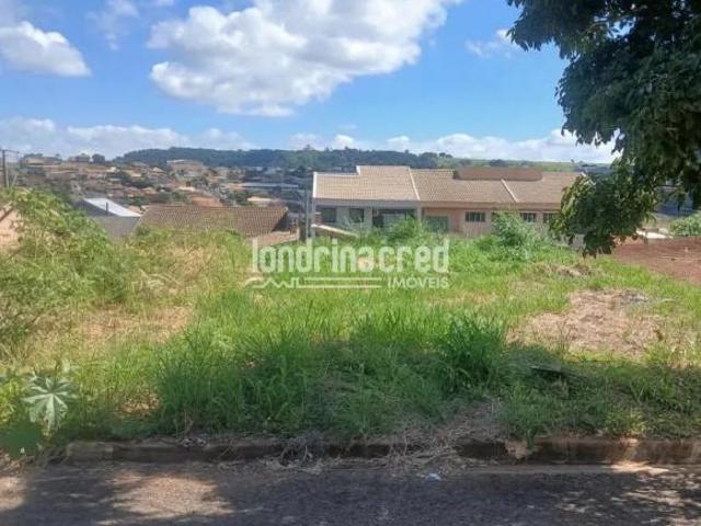 Oportunidade de investimento: terreno de 293m² no Bela Vista, região em crescimento de Assaí PR