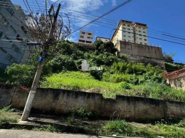 Oportunidade de Lotes no Bairro Novo São Lucas!
