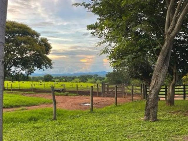 Oportunidade de Lançamento! Garanta Seu Terreno de 1.000m² Antes da Virada de Tabela