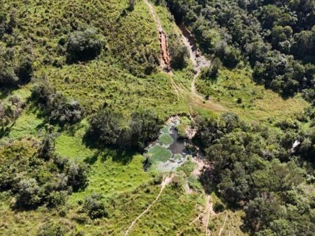 OPORTUNIDADE DE NEGÓCIO* ? *FAZENDA A VENDA EM SÃO MIGUEL ARCANJO SP* ? Dupla Aptidão: Pasta