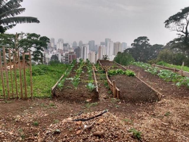 Oportunidade de negócio para futura renda Morumbi