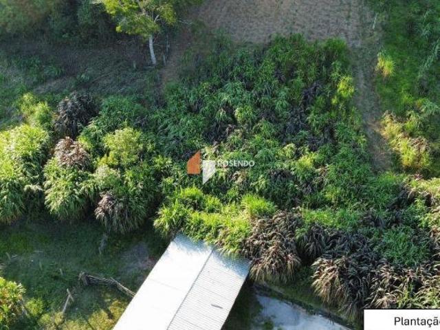 Oportunidade de Negócio – Sítio com 5 alqueires em Salesópolis