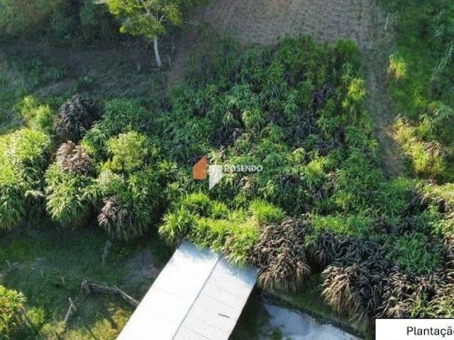 Oportunidade de Negócio – Sítio com 5 alqueires em Salesópolis