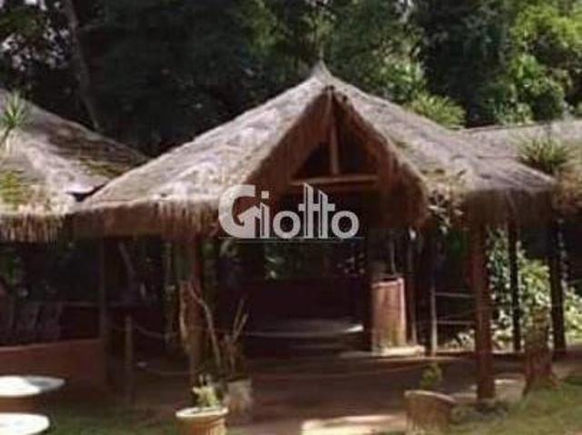 Oportunidade de Negócios Sítio à venda ou arrendamento em Suzano/SP Turismo rural, pedagógico, e