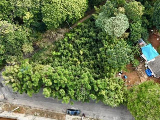 Oportunidade de Terreno à venda no Bairro do Jaraguá na Rua Nova Jaraguá