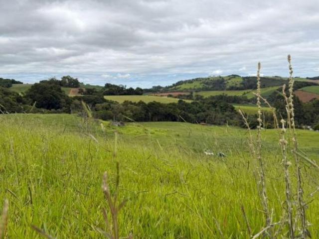 Oportunidade em Bueno Brandão: Terreno com Escritura, Vista Privilegiada e Fácil Acesso