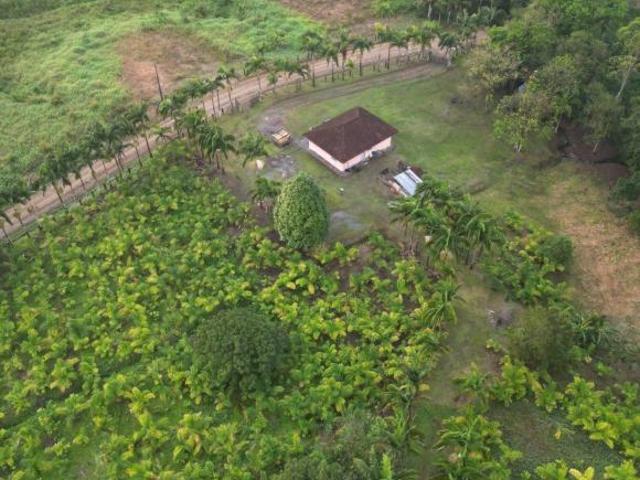Oportunidade em Guaraqueçaba Área Rural com 38,80 ha, 16 alq, Renda Sustentável e Aceita Permuta