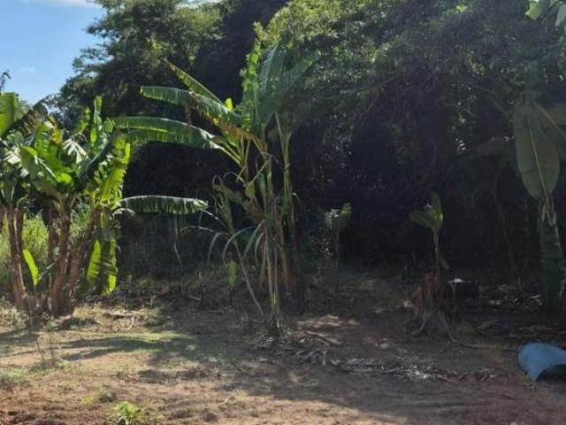OPORTUNIDADE EM DONA CATARINA – 500m² POR R$ 69 MIL