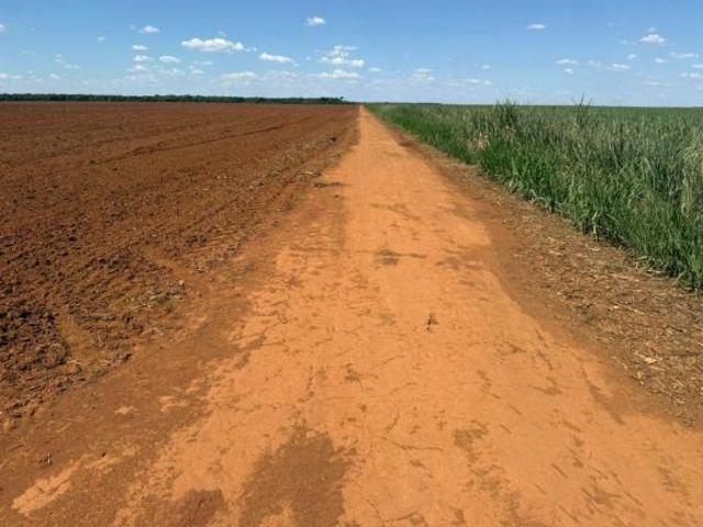 Oportunidade em fazenda em Acreuna