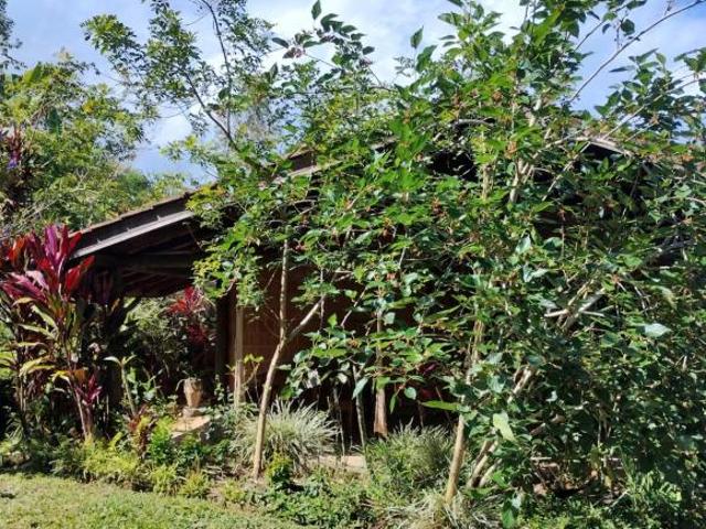 OPORTUNIDADE EM MORRETES Sítio de 20.000 m²