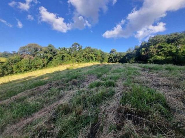 Oportunidade em Munhoz/MG – 20.000 m² de Natureza e Água em Abundância!