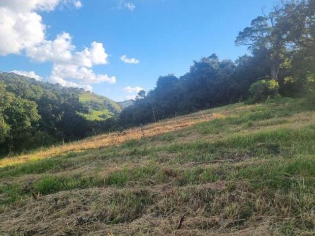 Oportunidade em Munhoz/MG – 20.000 m² de Natureza e Água em Abundância!