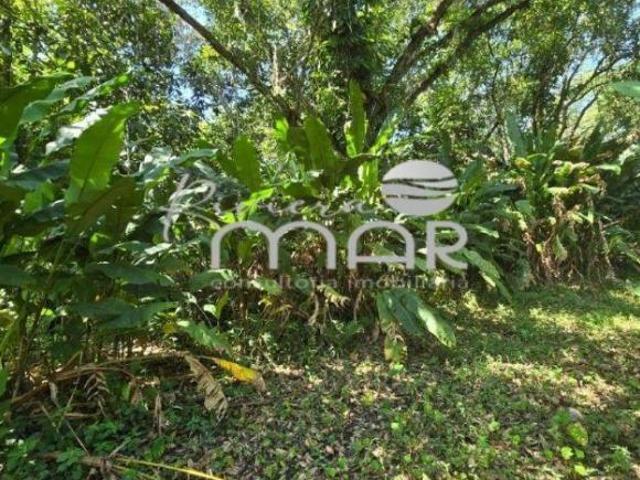 OPORTUNIDADE EM SÃO LOURENÇO – TERRENO COM VALOR ABAIXO DO MERCADO