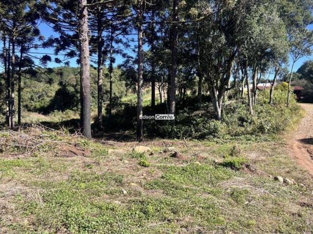 Oportunidade em Região Turística | 4 Hectares por R$ 550 Mil