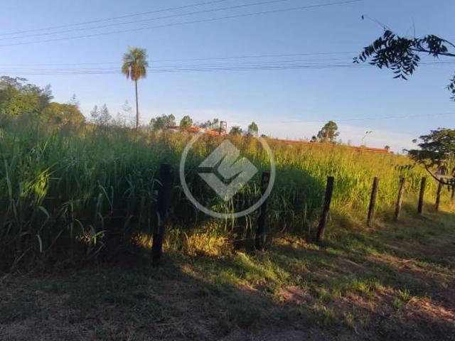 Oportunidade em Várzea Grande: 32ha de Área Formada – Vendo Área Total ou Fracionada por Hectare!