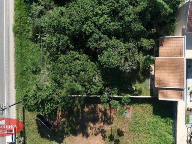 Oportunidade Estratégica: Terreno de 360m² na Avenida Paraná