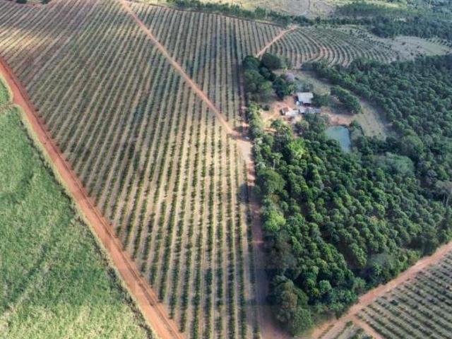 OPORTUNIDADE EXCLUSIVA NO AGRONEGÓCIO