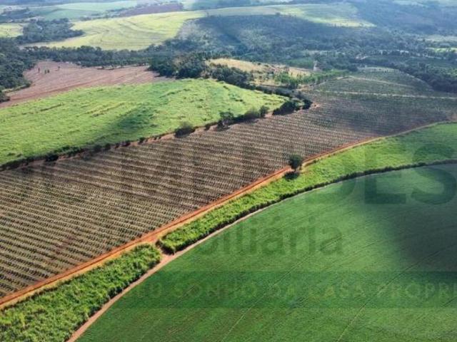OPORTUNIDADE EXCLUSIVA NO AGRONEGÓCIO
